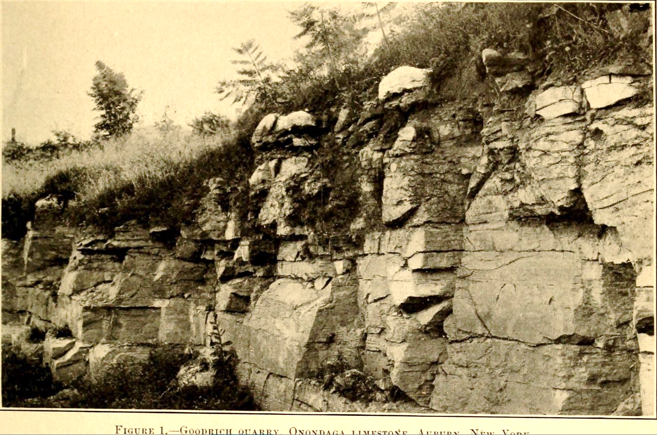 Digitization of sedimentary outcrops